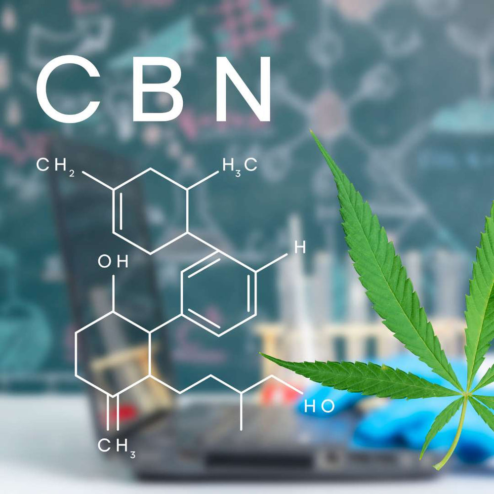 CBN : Bienfaits, effets et utilisations - Délicure